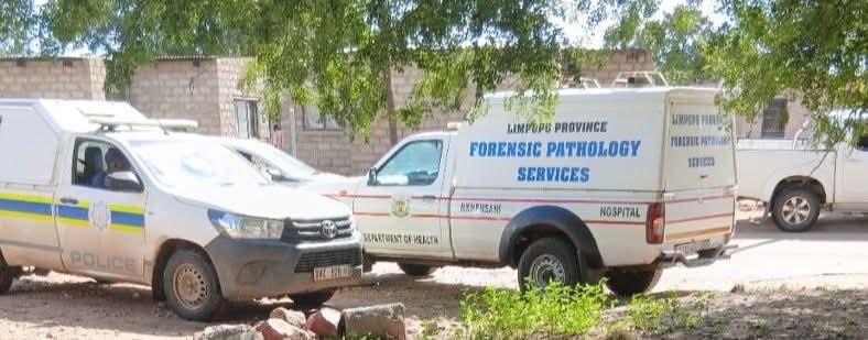 HAWKS ARREST ALLEGED ELEPHANT TUSKS SELLER - Sekororo News